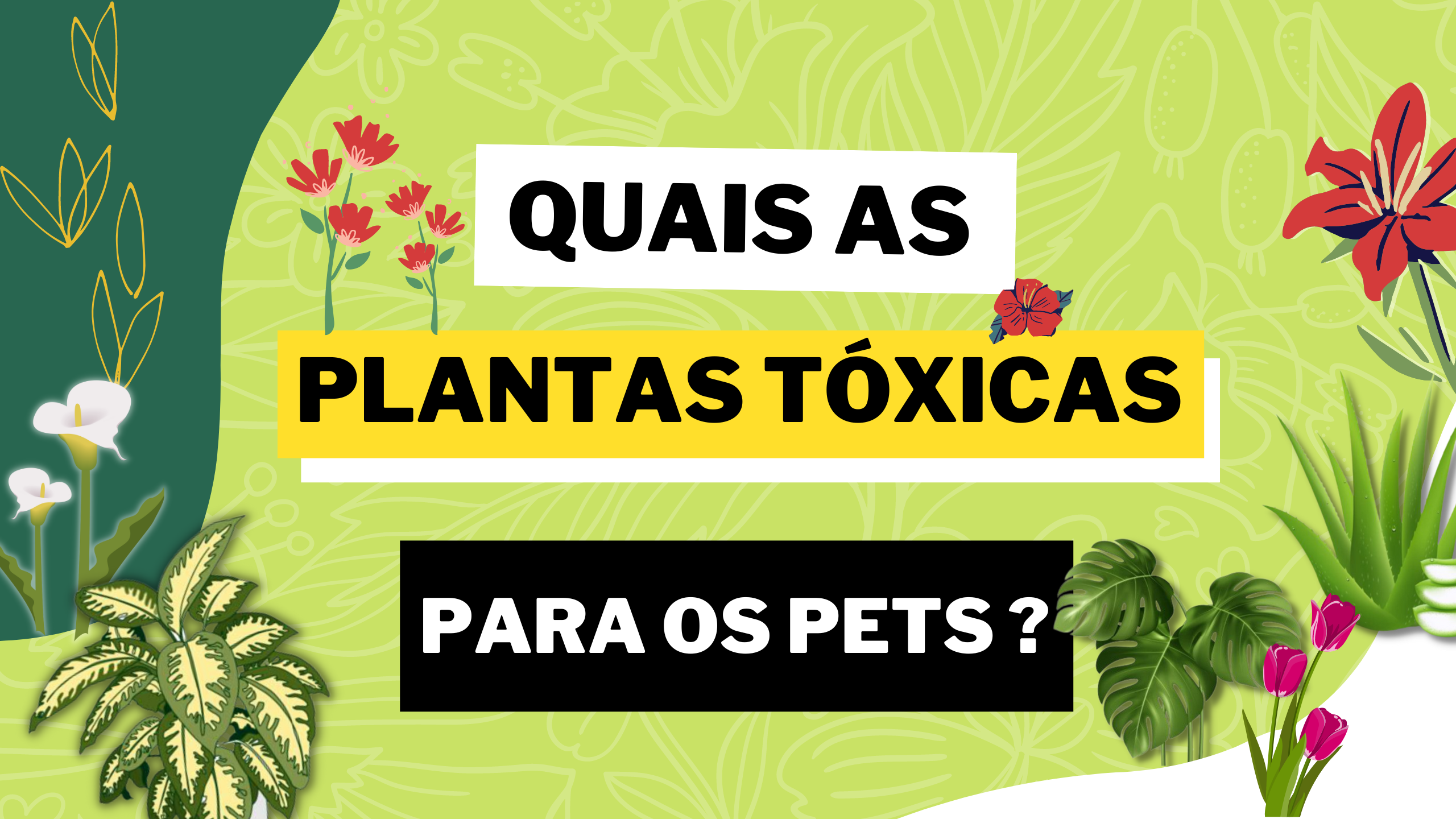 Descubra quais plantas são tóxicas para os pets! - Eu, Você e os Pets