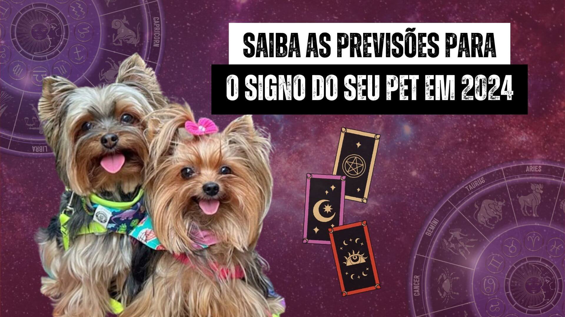 Astrologia: confira as previsões do signo do seu pet para 2024 - Eu ...